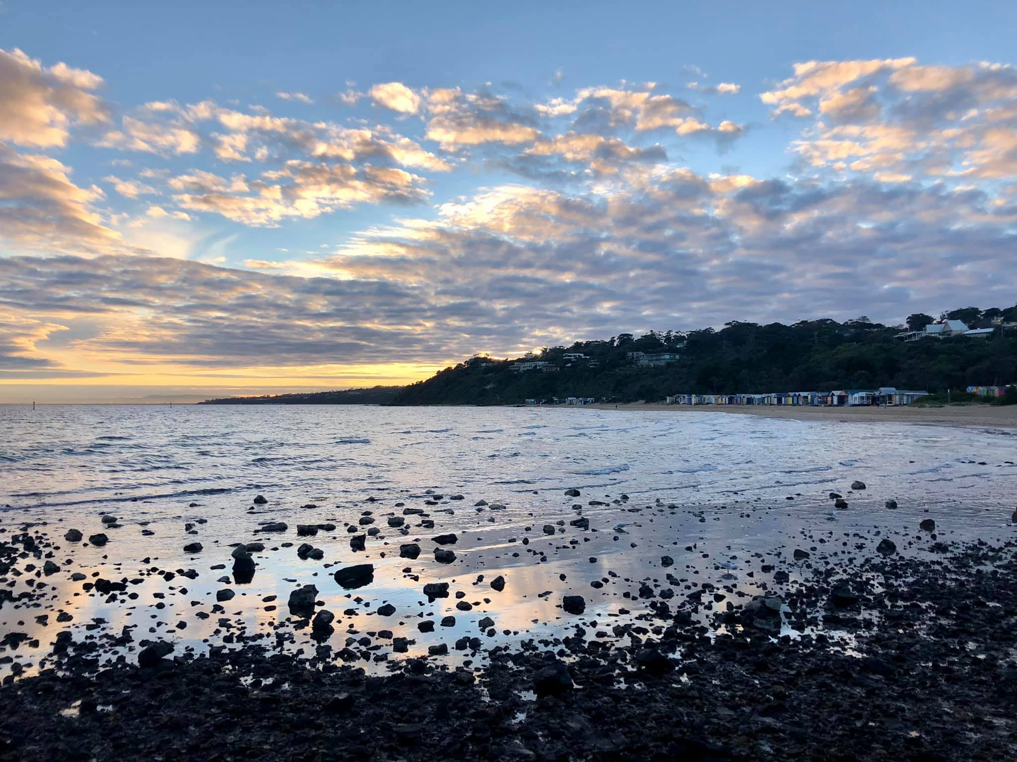 mills – Summer Goodwin